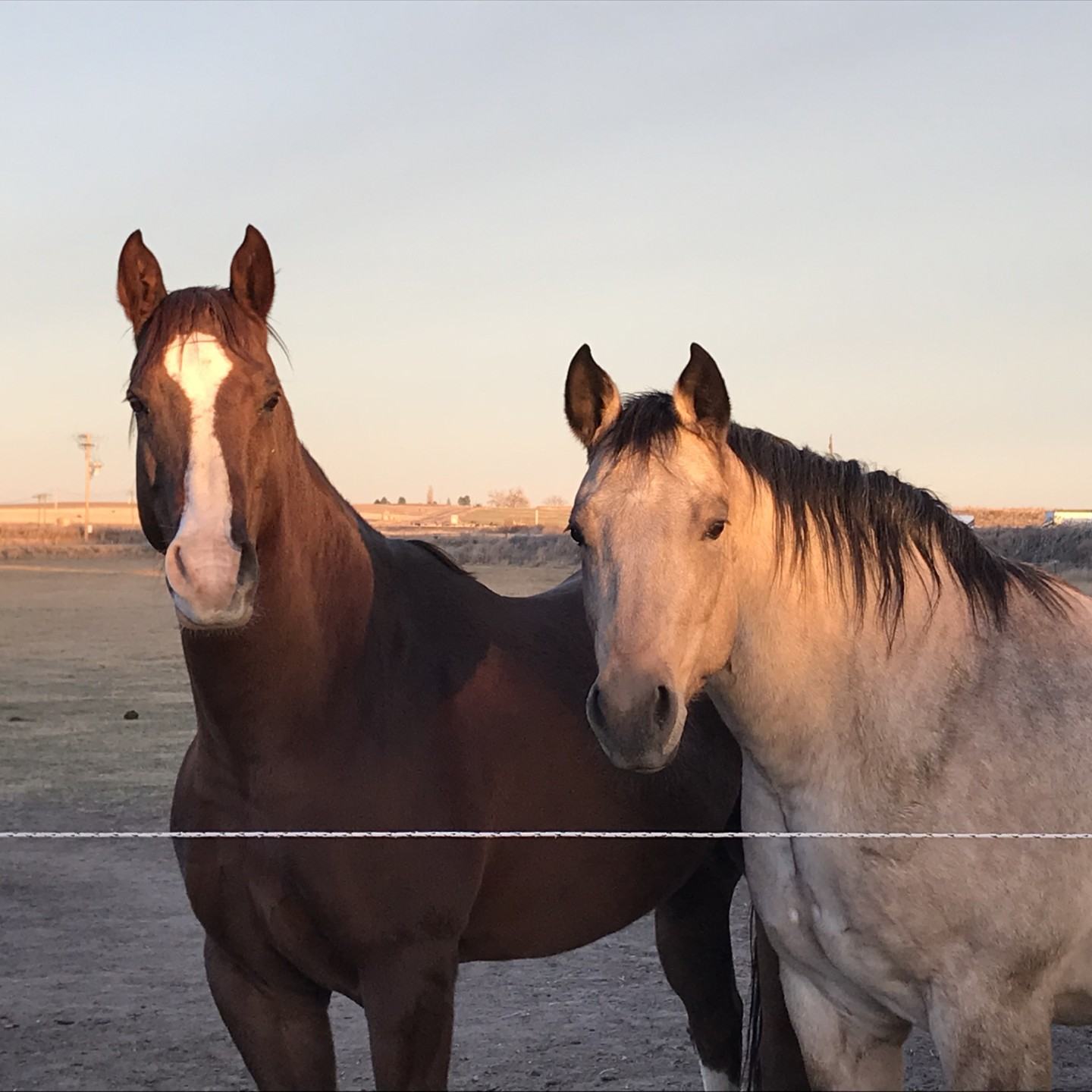 LASSO | ColoradoGives.org